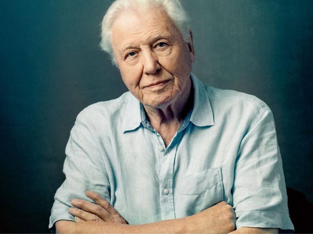 David Attenborough hace un llamado final por el planeta