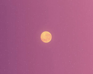 Luna rosa: ¿qué es y por qué será tan especial verla?