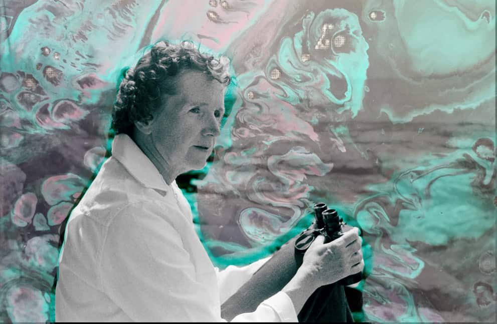 Rachel Carson: el asombro como acto de rebeldía (y un estado de la mente)