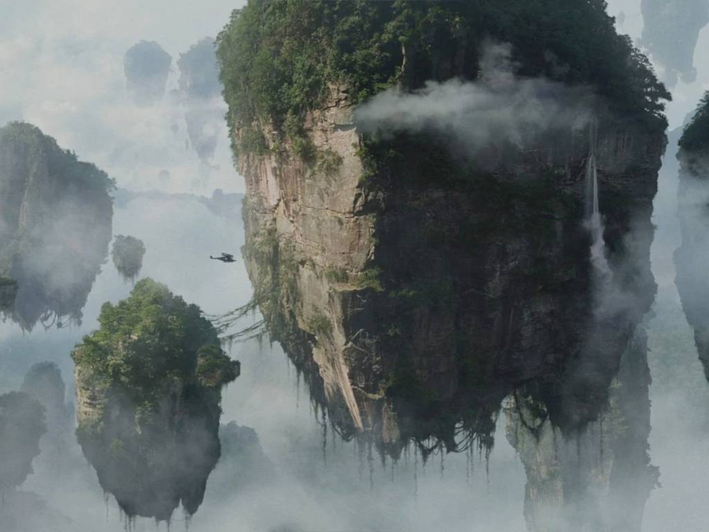 Bosque en medio de las nubes, así es el lugar que inspiro la película ...