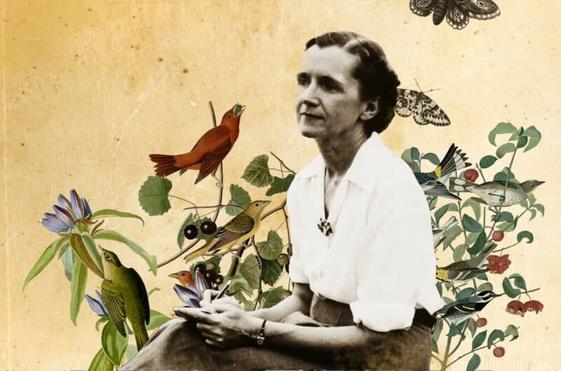 Rachel Carson: la mujer que despertó la conciencia ambiental moderna