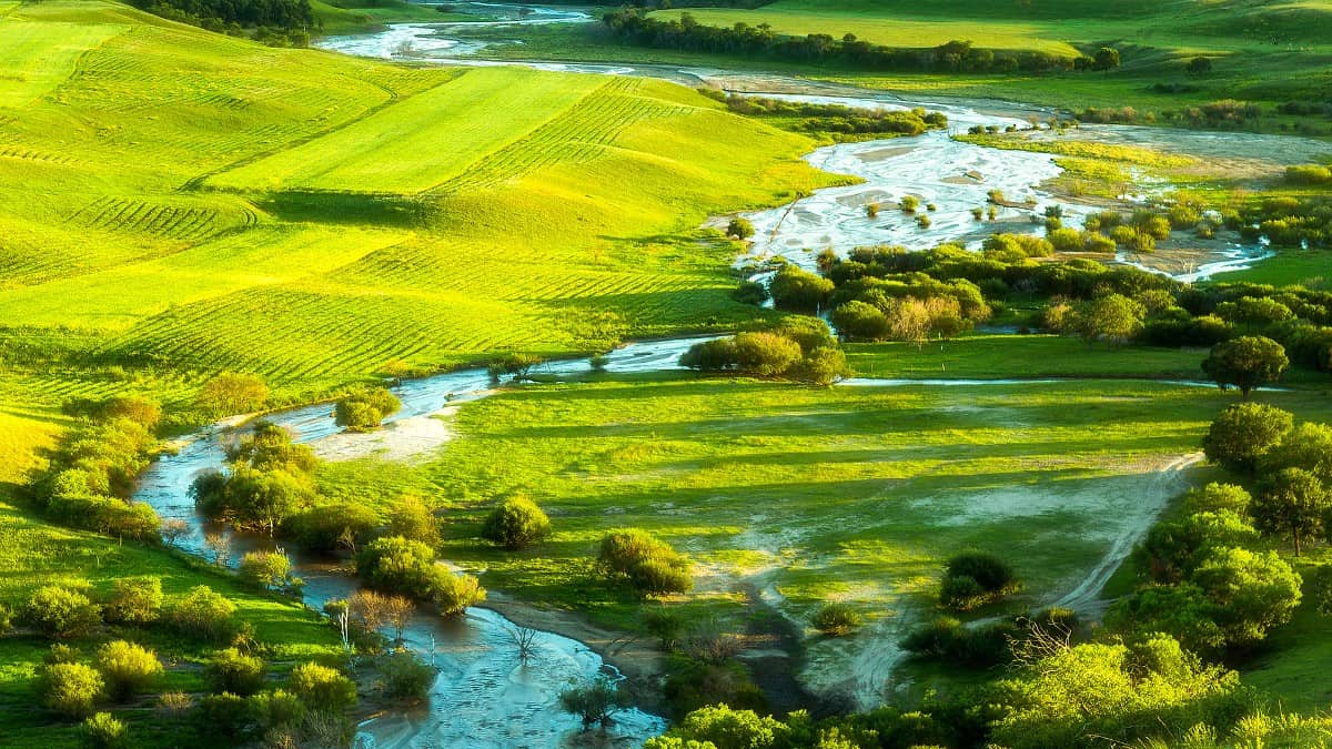 El mayor bosque artificial está en China
