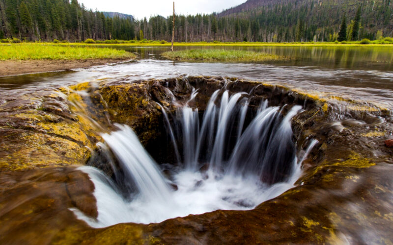 MEDIO AMBIENTE • Ecoosfera